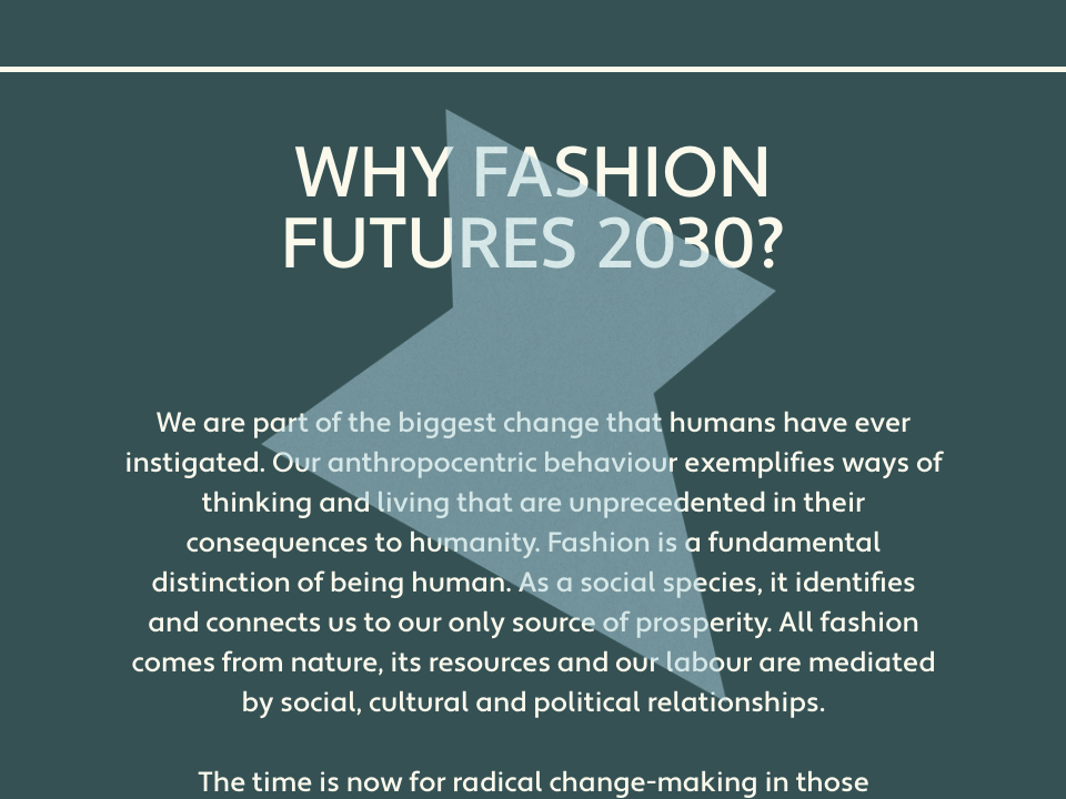 How to use - Fashion Futures 2030